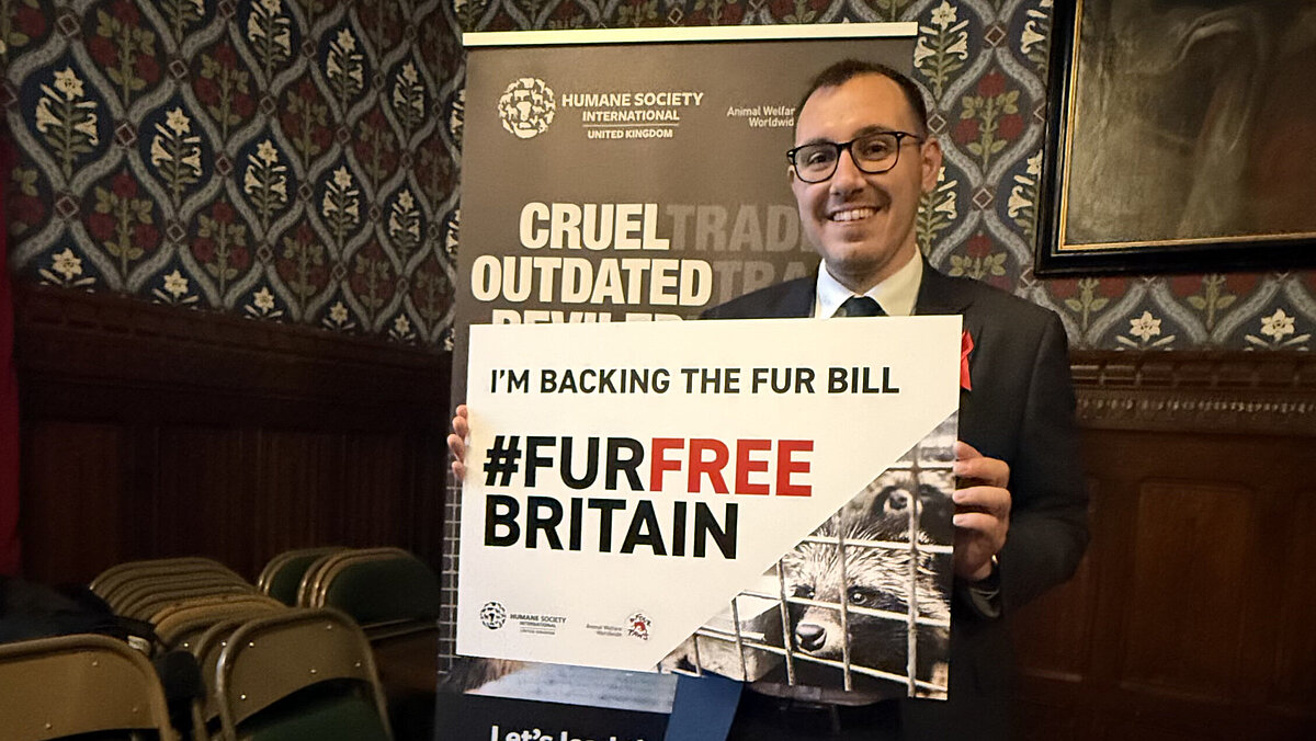 Local MP Backs Call for Fur Free Britain - Tom Gordon MP